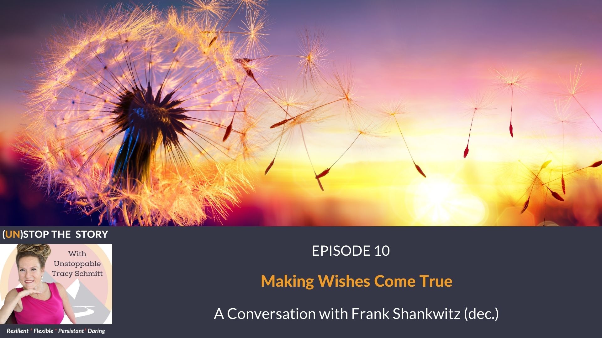 Episode 10 with Frank Shankwitz – Unstoppable Tracy: Motivational ...